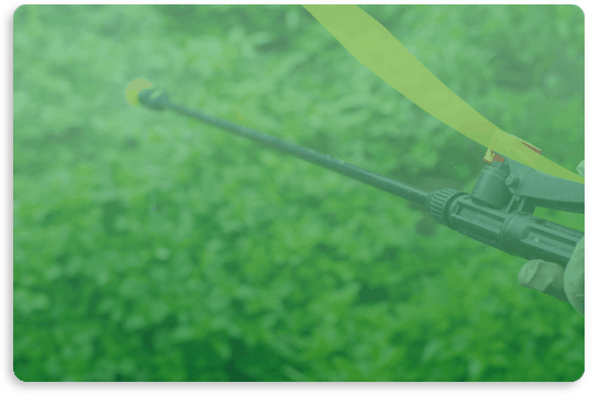 Fertilization & Pest Control - Baker Commercial Landscaping